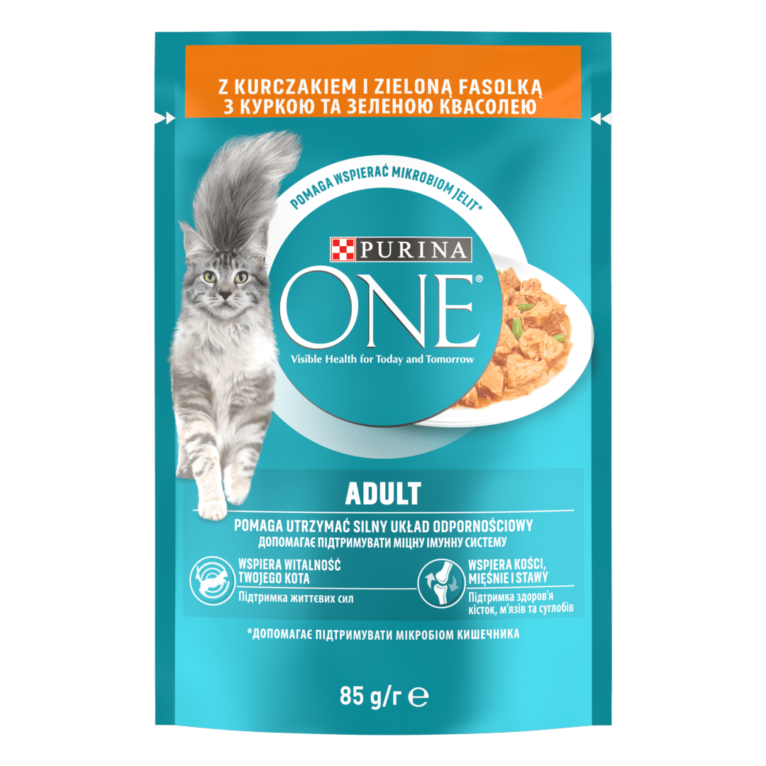 PURINA ONE® Adult. Консервований корм для котів з куркою | Purina