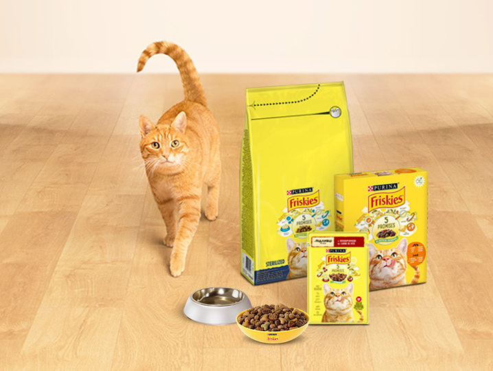 Friskies® для котів - бренд та його продукція | Purina