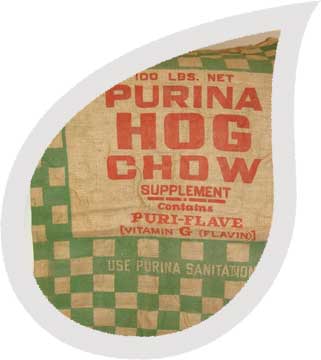 Cat Chow®: відкрийте для себе бренд і його продукцію | Purina