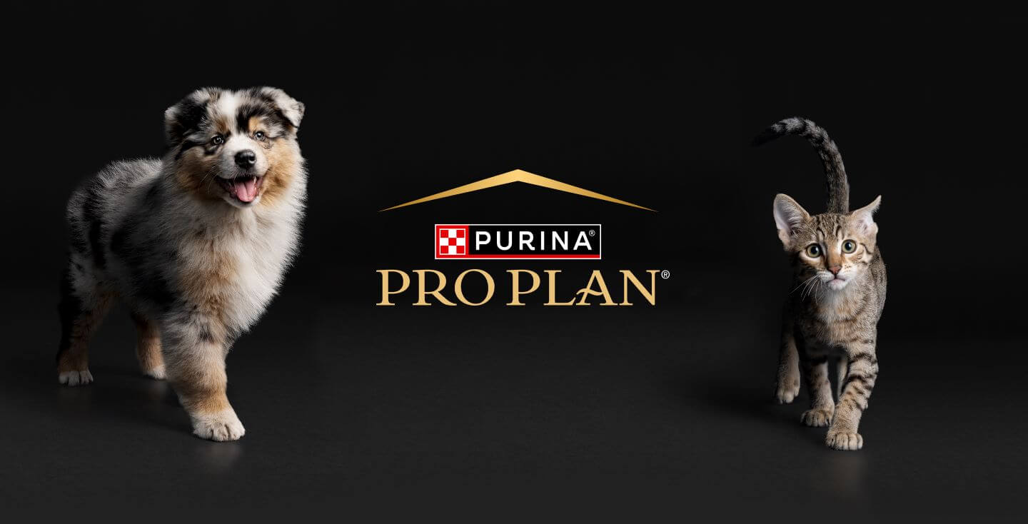 PRO PLAN® Pro Start для власників кошенят і цуценят | Purina UA