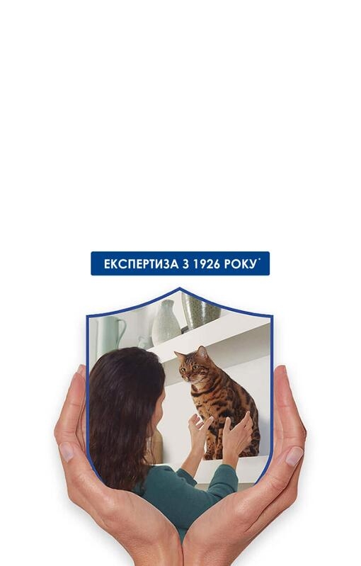 Cat Chow®: відкрийте для себе бренд і його продукцію | Purina