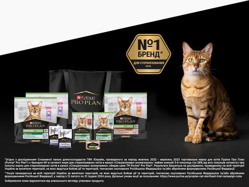 Ваш улюбленець - наше натхнення | Purina